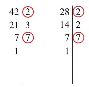 Największy wspólny dzielnik (NWD) - Matematyczny Świat